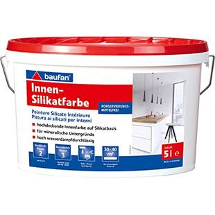 Silikatfarbe Innen Test