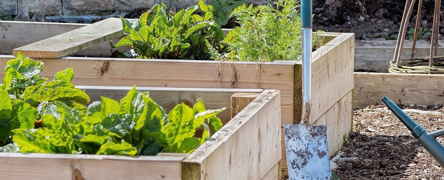 Encasing im Test & Vergleich: 2 klare Sieger! - heimwerker.de