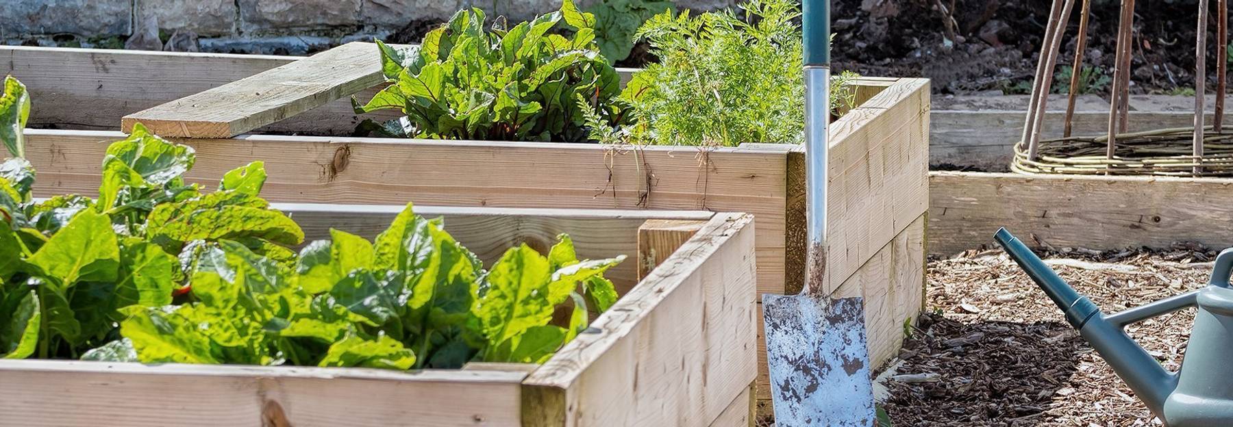 Encasing im Test & Vergleich: 2 klare Sieger! - heimwerker.de