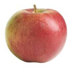 Apfelsorten Übersicht - Beschreibung der beliebtesten Apfelarten mit ...