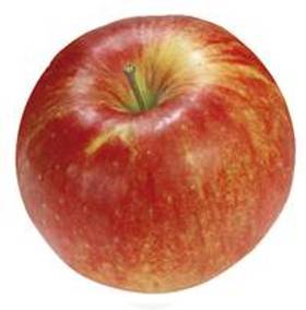 Apfelsorten Übersicht - Beschreibung der beliebtesten Apfelarten mit ...