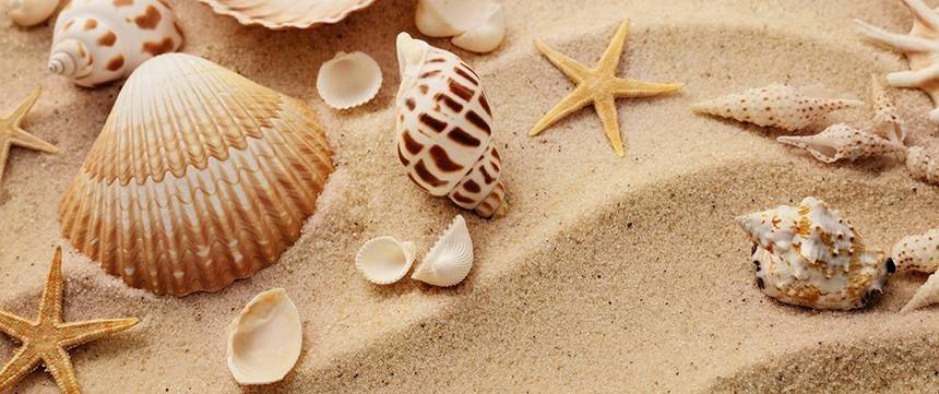 Basteln mit Muscheln, Sand und Steinen - heimwerker.de