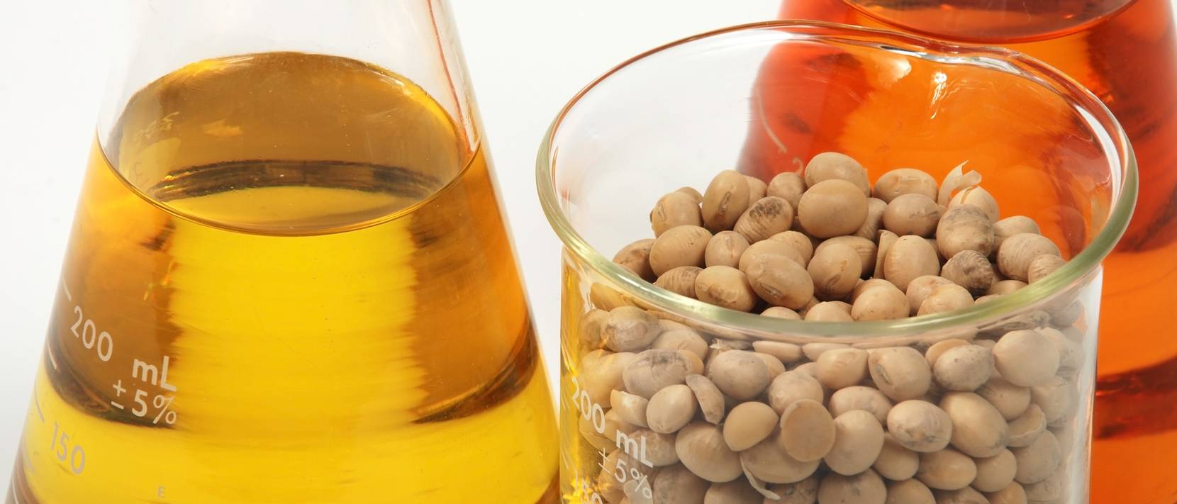 Bioethanol im Test & Vergleich: 2 klare Sieger! - heimwerker.de