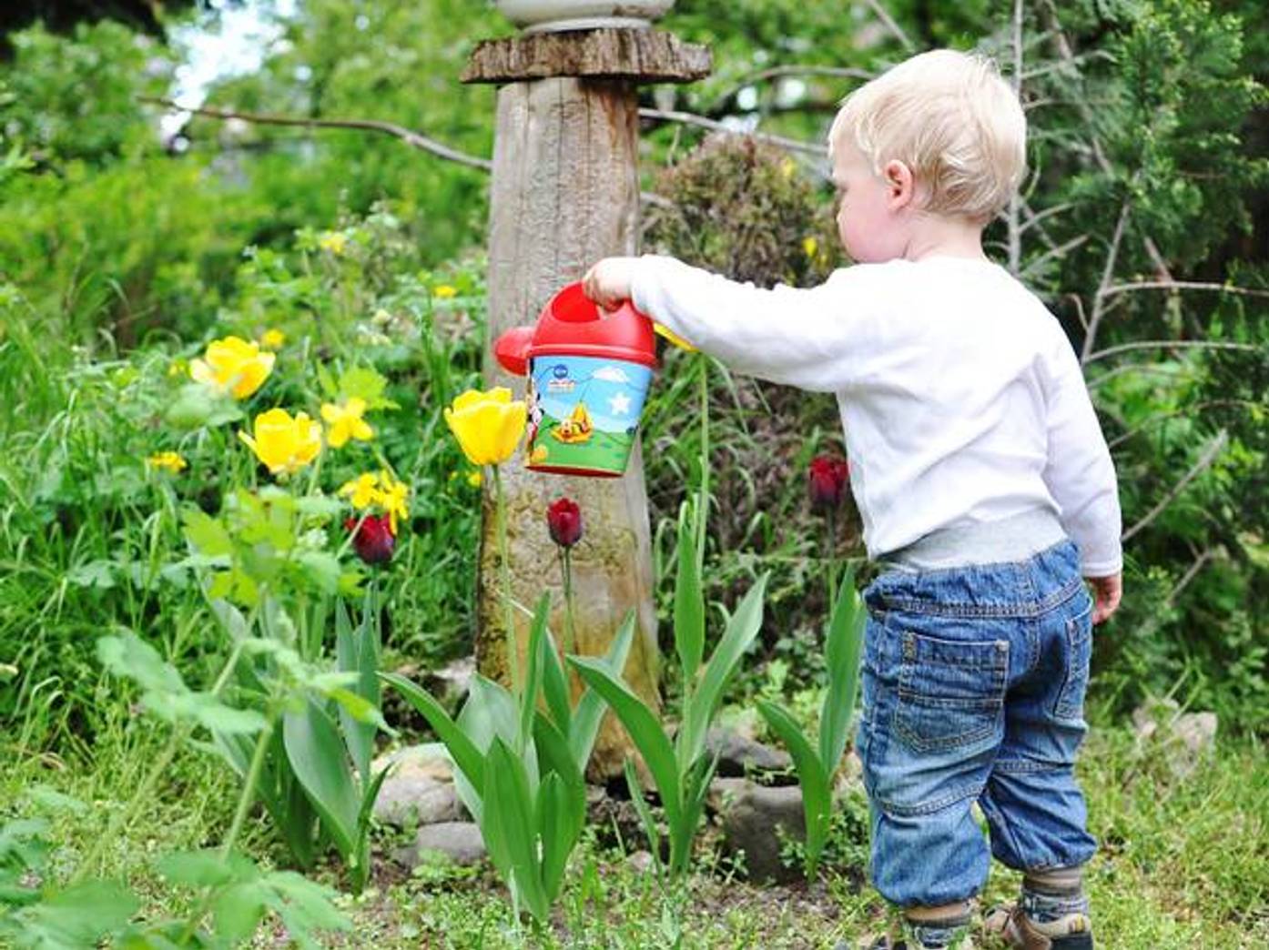Kinder im Garten: 7 Ideen, um Kinder für die Gartenarbeit zu begeistern ...