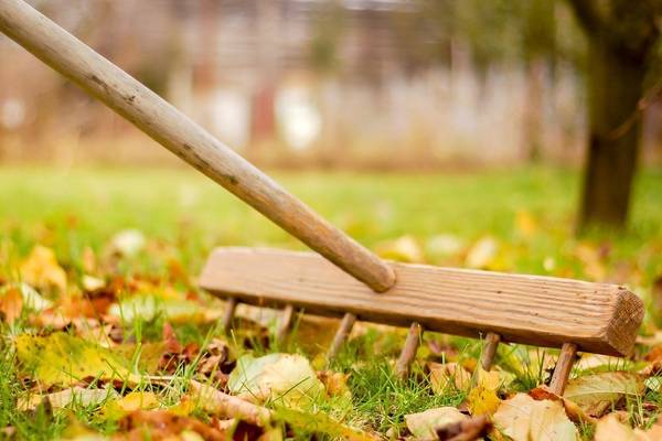 Harke im Test & Vergleich: 2 klare Sieger! - heimwerker.de