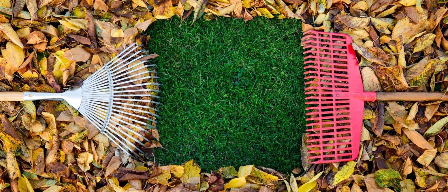 Harke und Rechen: Unterschiede und Einsatzbereiche der Gartengeräte