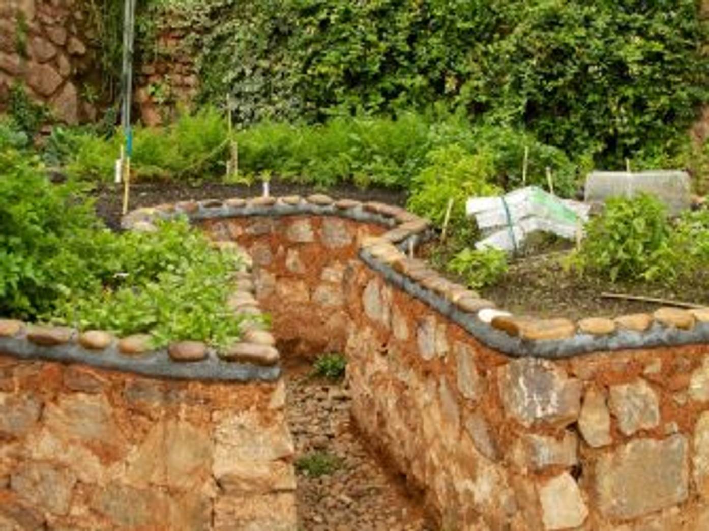 Hochbeet bauen: 2 individuelle Ideen, um ein Hochbeet anzulegen ...
