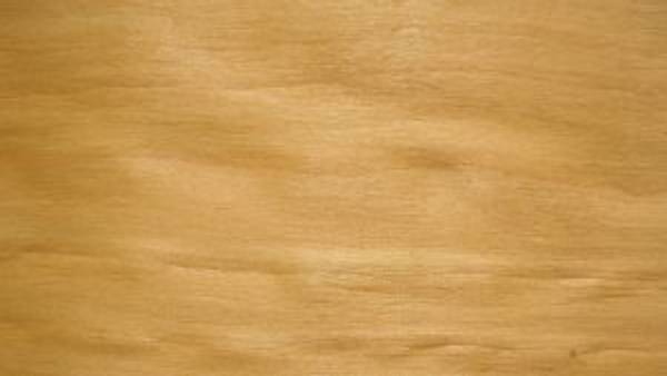 Holzarten und Hölzer für das Holzwerken - heimwerker.de