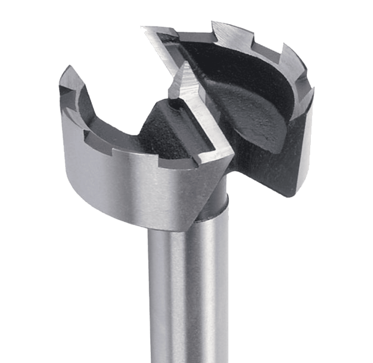 Holzbohrer im Test & Vergleich: 2 klare Sieger! - heimwerker.de