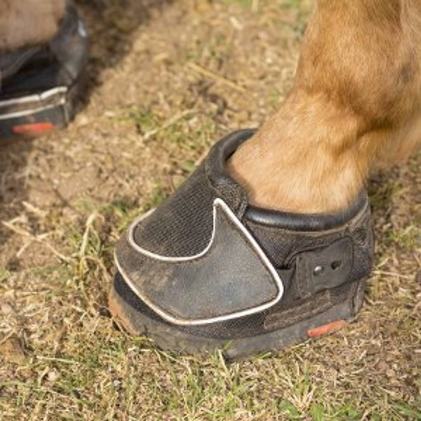 Hufschuhe im Test & Vergleich: 2 klare Sieger! - heimwerker.de