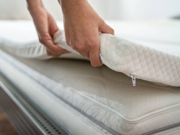 Milben bekämpfen: Tipps gegen Hausstaubmilben, Grasmilben und ...