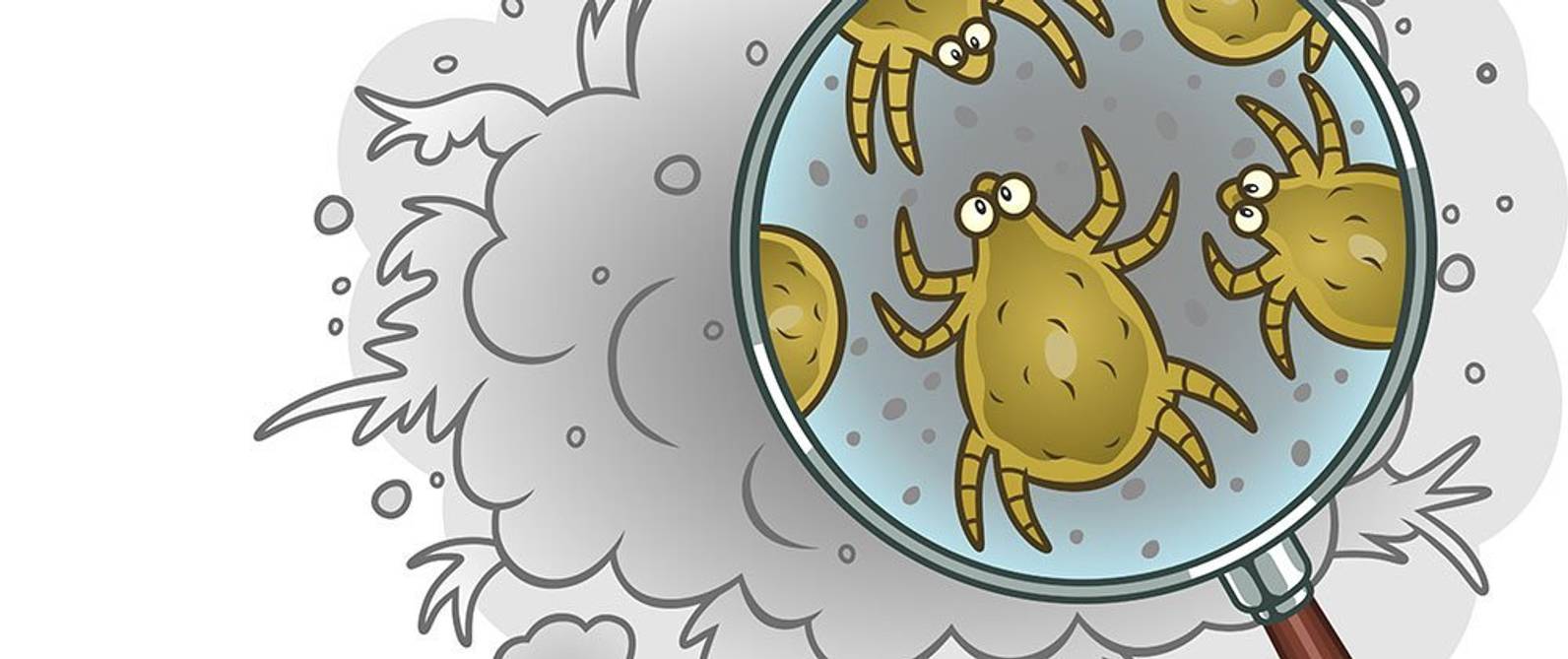 Milben bekämpfen: Tipps gegen Hausstaubmilben, Grasmilben und ...