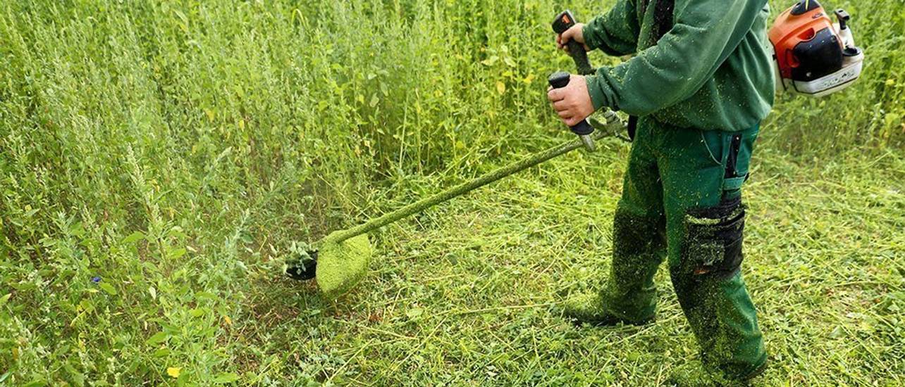 Motorsense im Test & Vergleich: 2 klare Sieger! - heimwerker.de