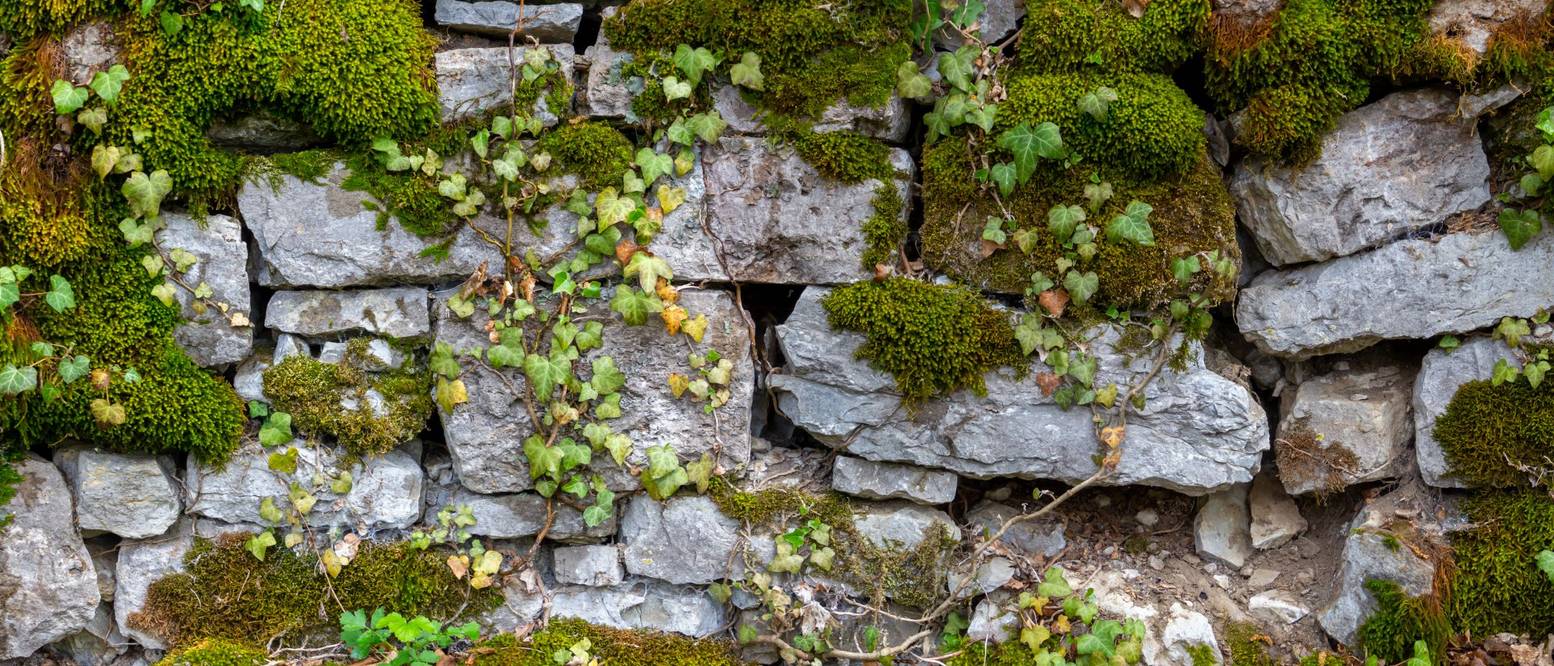 Natursteinmauer bauen: Anleitungen zum langlebigen Gartenprojekt
