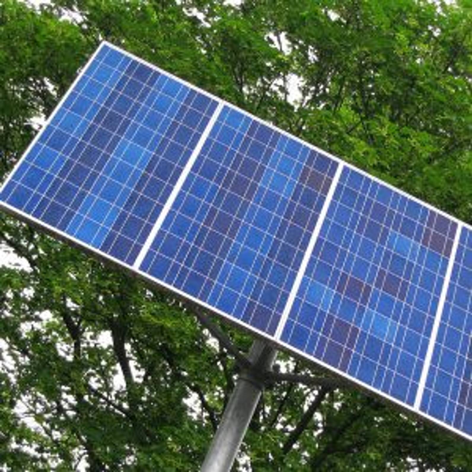 Solarheizung für den Garten-Pool: Alle Infos im Überblick - heimwerker.de