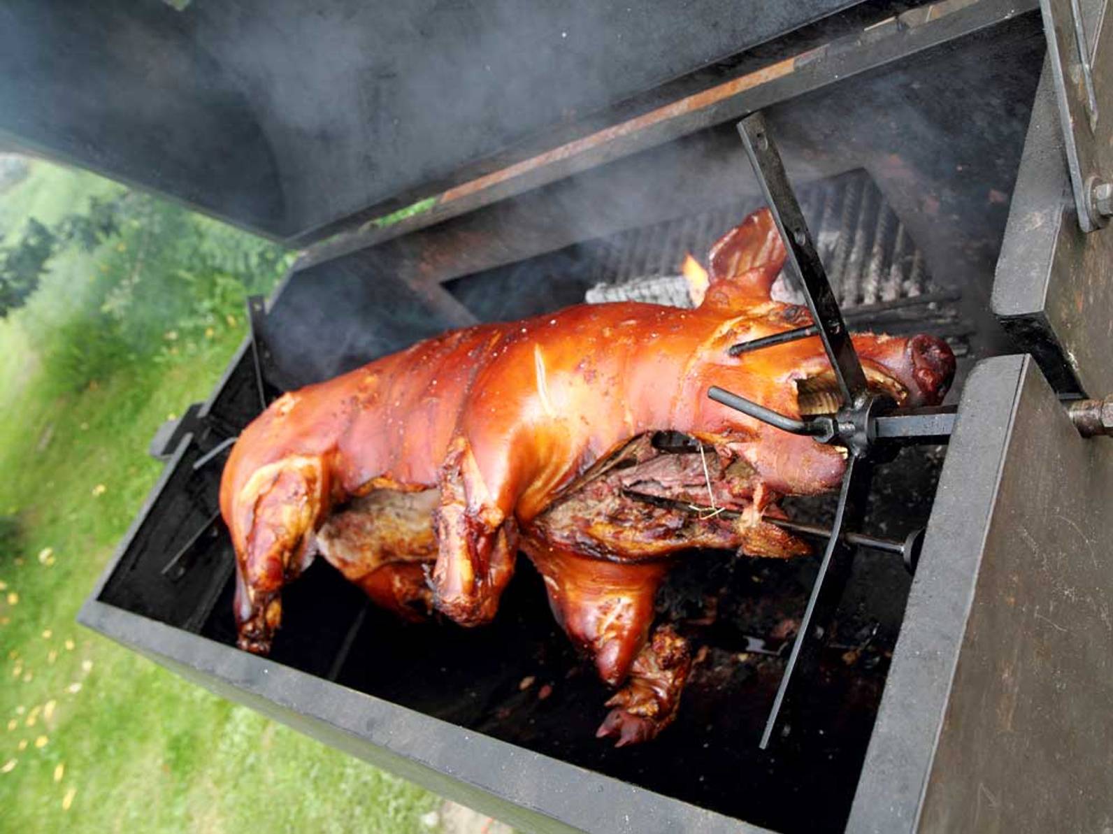Spanferkel am Spieß grillen - Grillrezept - heimwerker.de
