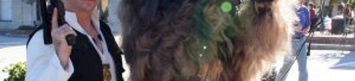 Textilien & Handarbeit Produkte im Test & Vergleich 2025 - heimwerker.de