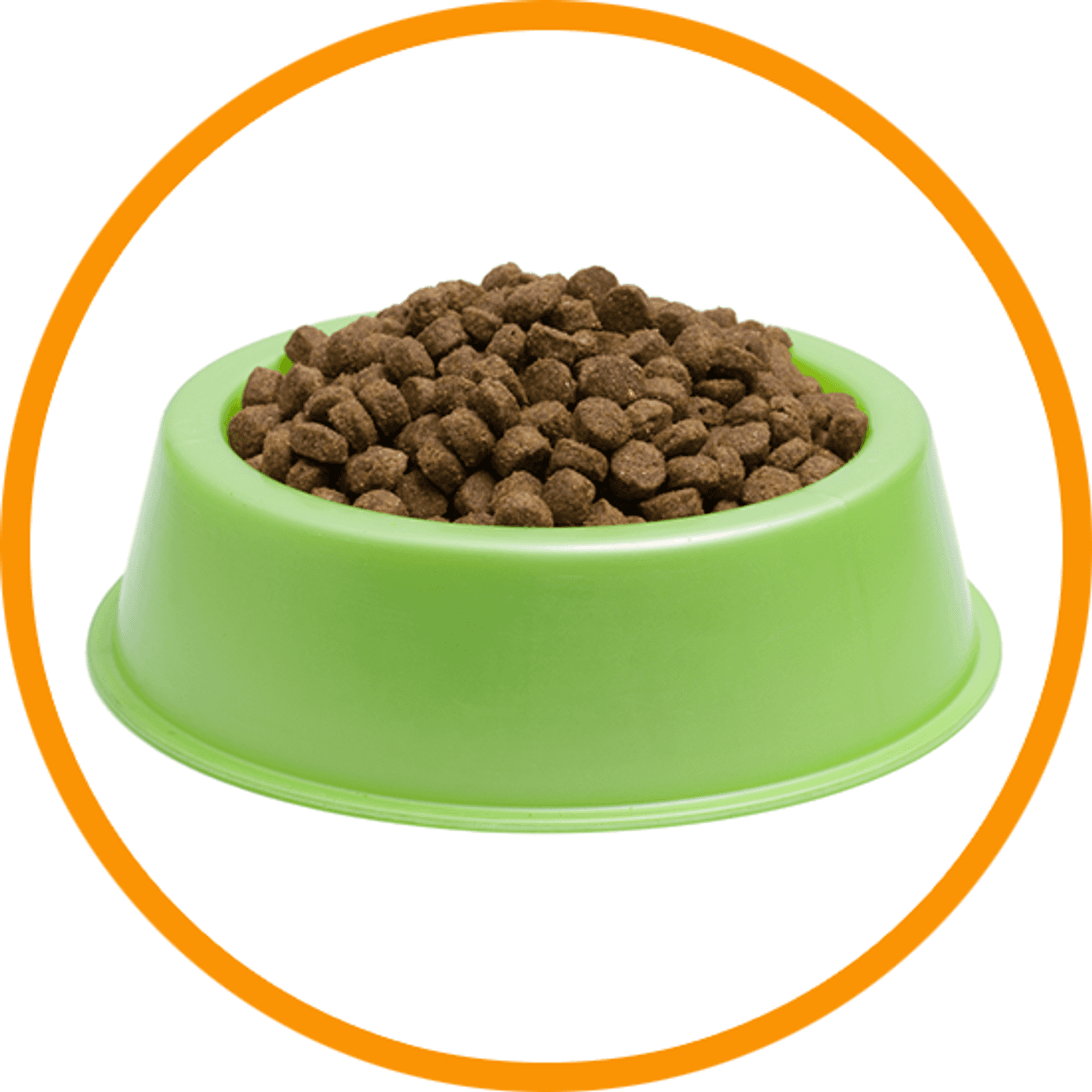 Welpenfutter im Test & Vergleich: 2 klare Sieger! - heimwerker.de