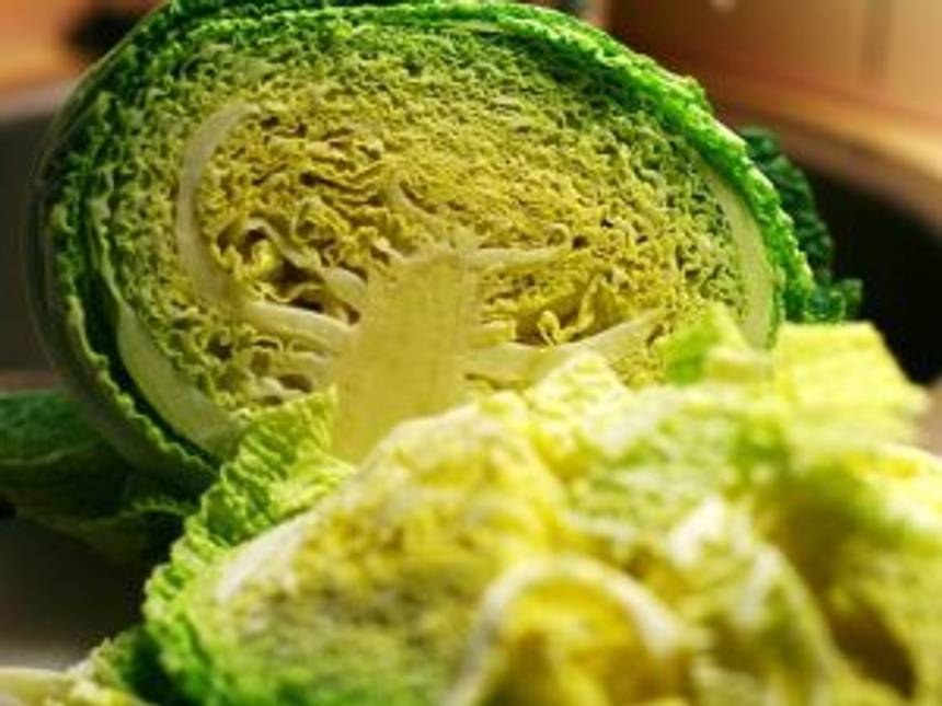 Wirsing pflanzen und pflegen: Anleitung zum Wirsing anbauen