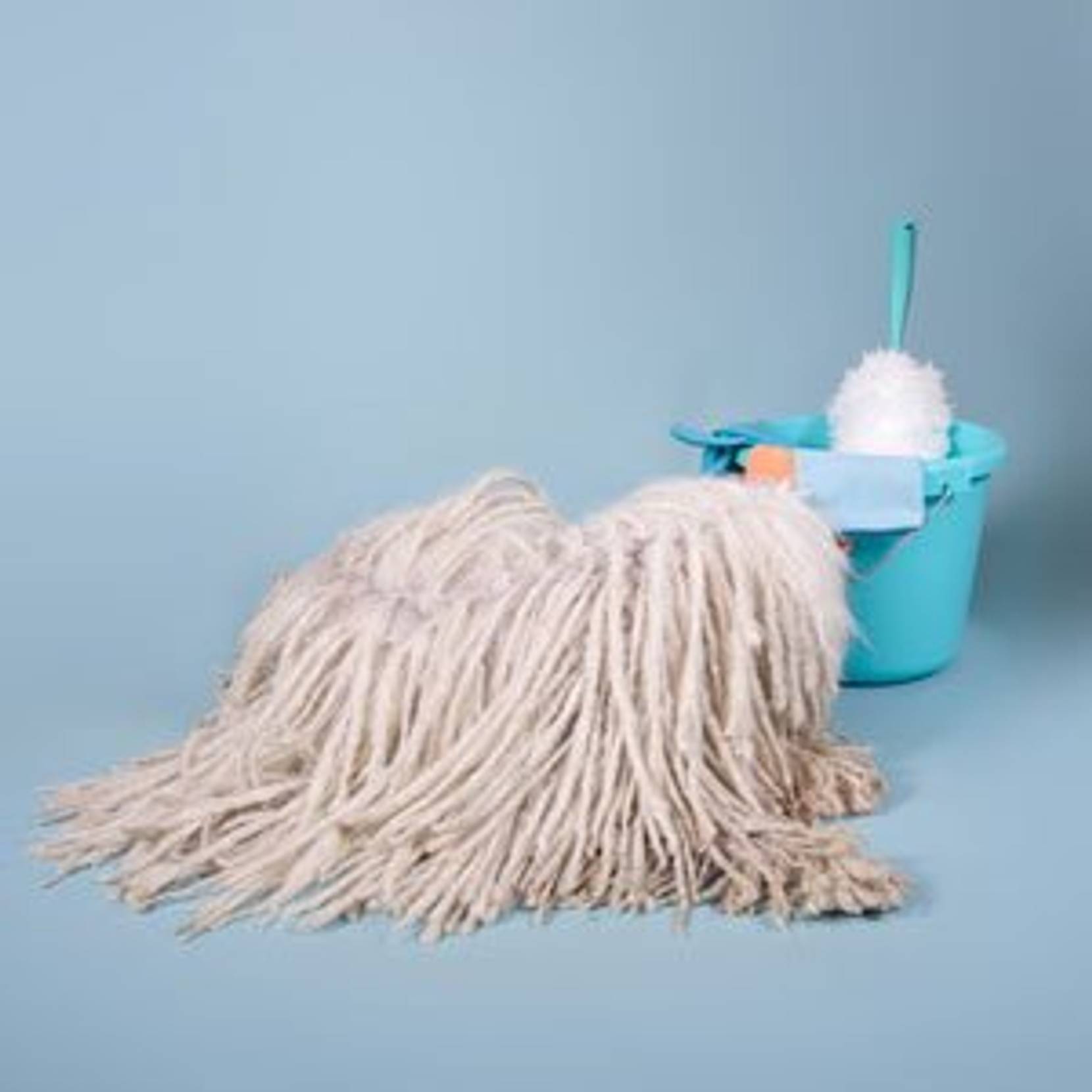 Wischmopp im Test & Vergleich: 2 klare Sieger! - heimwerker.de