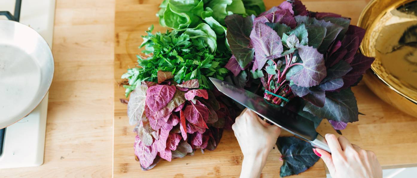 Melde pflanzen: In 4 Schritten zum eigenen Blattgemüse